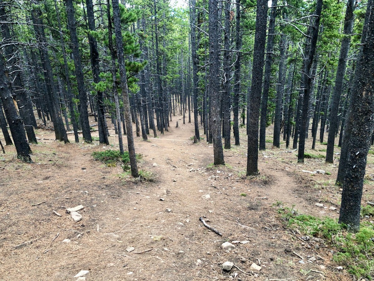 Prairie Mountain Hike Near Bragg Creek, Alberta - Out & Across