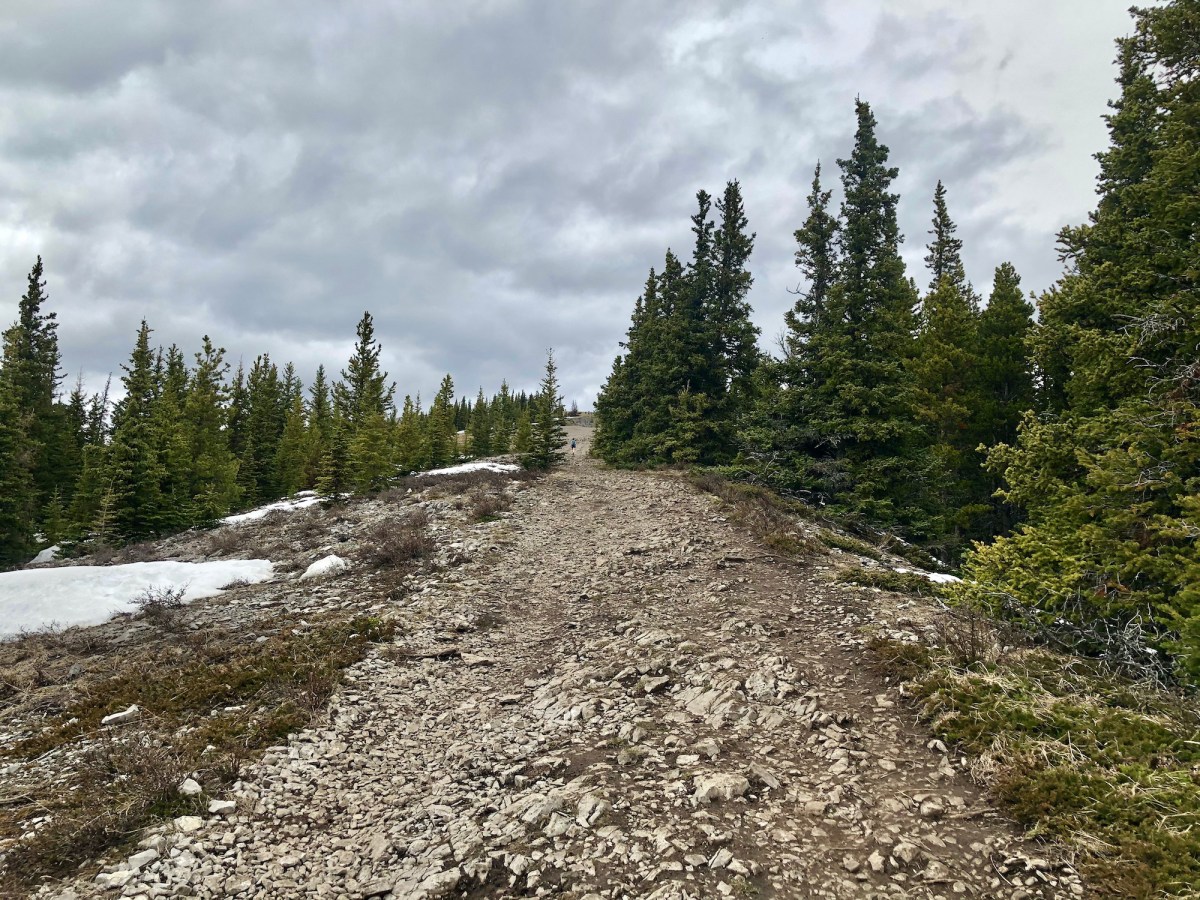 Prairie Mountain Hike Near Bragg Creek, Alberta - Out & Across