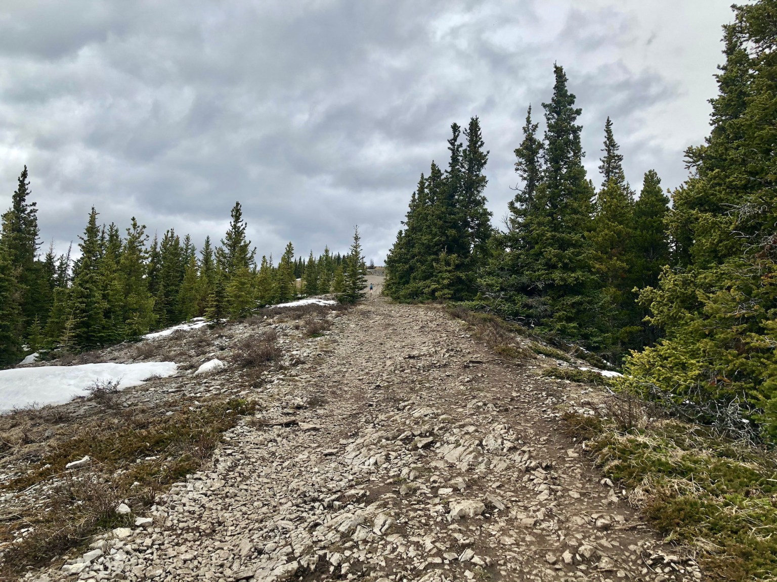 Prairie Mountain Hike Near Bragg Creek, Alberta - Out & Across