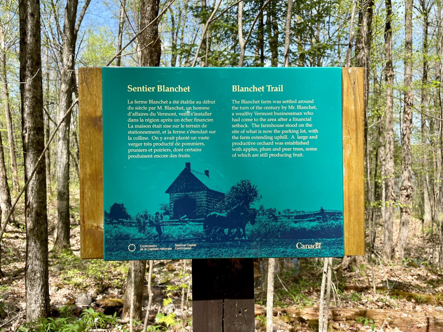 Wolf Trail: One of the Best Gatineau Park Trails - Out & Across