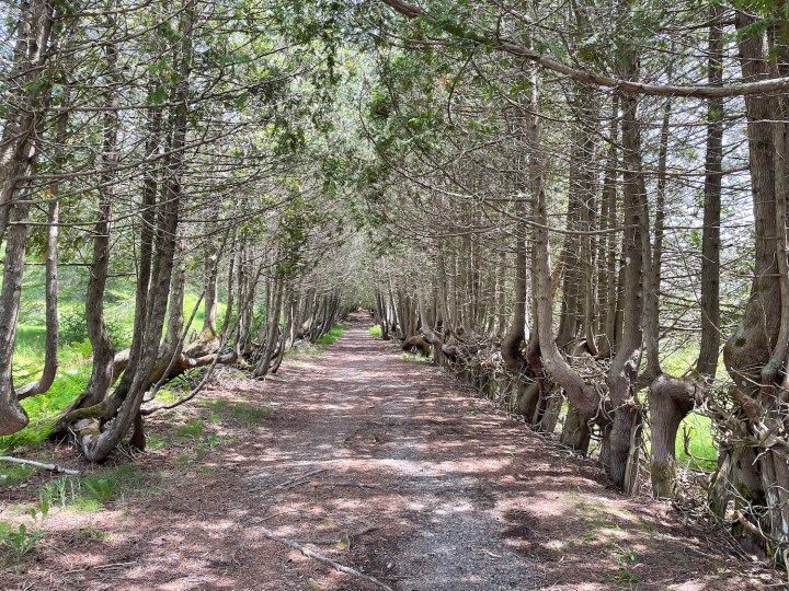 Ministers Island Loop Near St. Andrews, New Brunswick - Out & Across