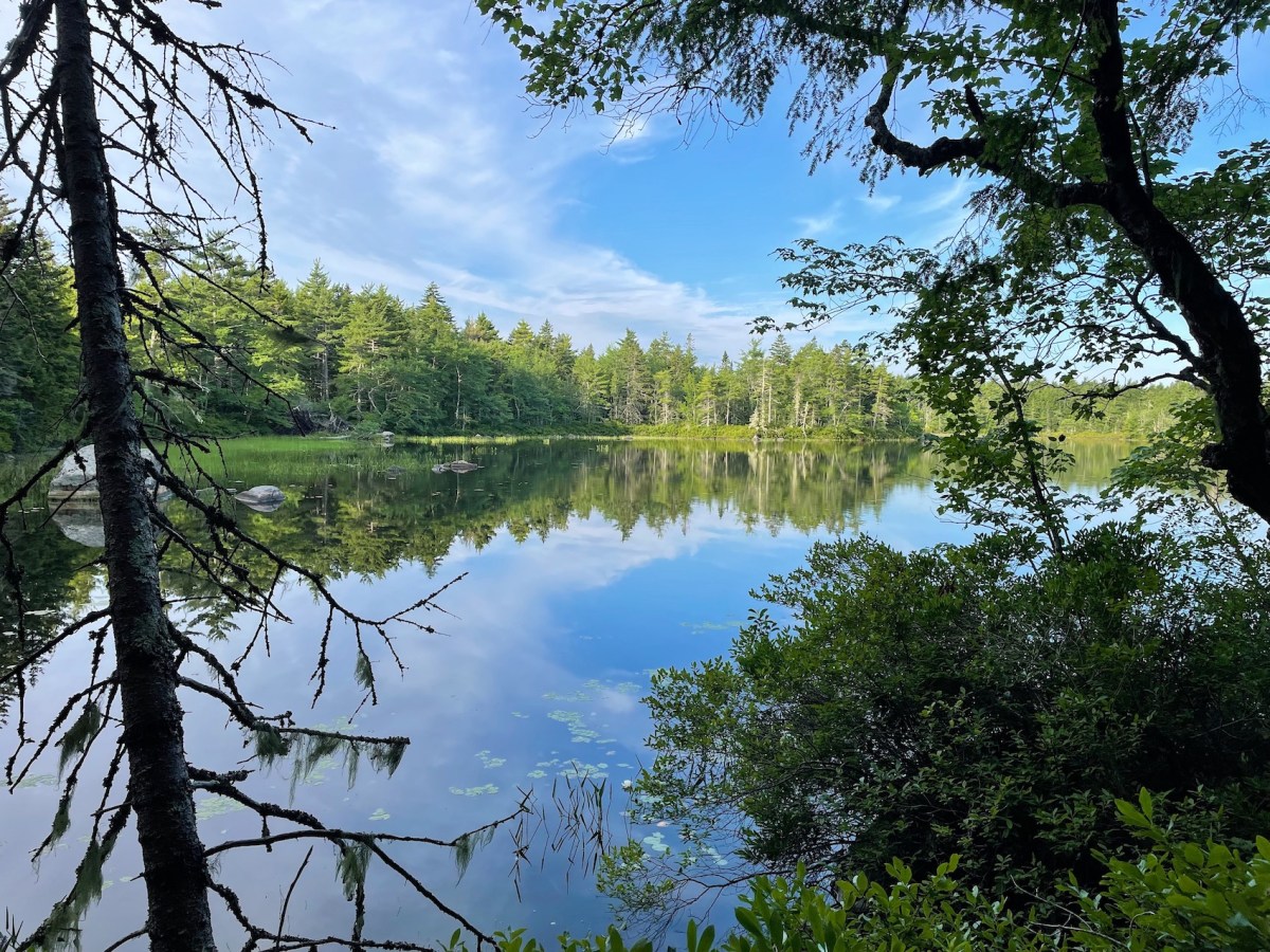 Your Complete Guide to Canoeing in Kejimkujik National Park - Out & Across