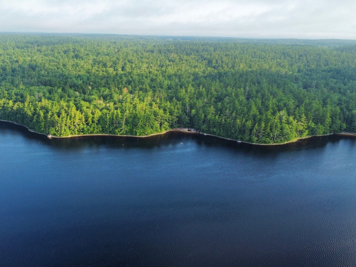 Your Complete Guide to Canoeing in Kejimkujik National Park - Out & Across