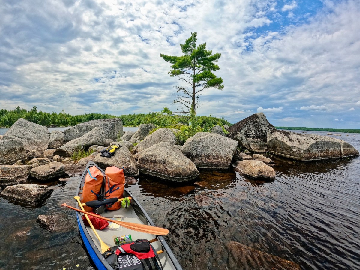 Your Complete Guide to Canoeing in Kejimkujik National Park - Out & Across