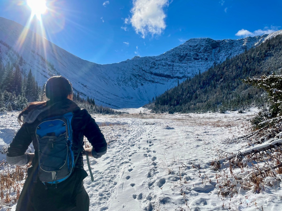 Tent Ridge Hike: One of the Best Hikes in Kananaskis - Out & Across