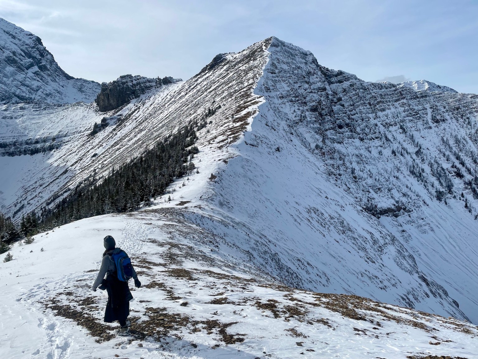 Tent Ridge Hike: One of the Best Hikes in Kananaskis - Out & Across