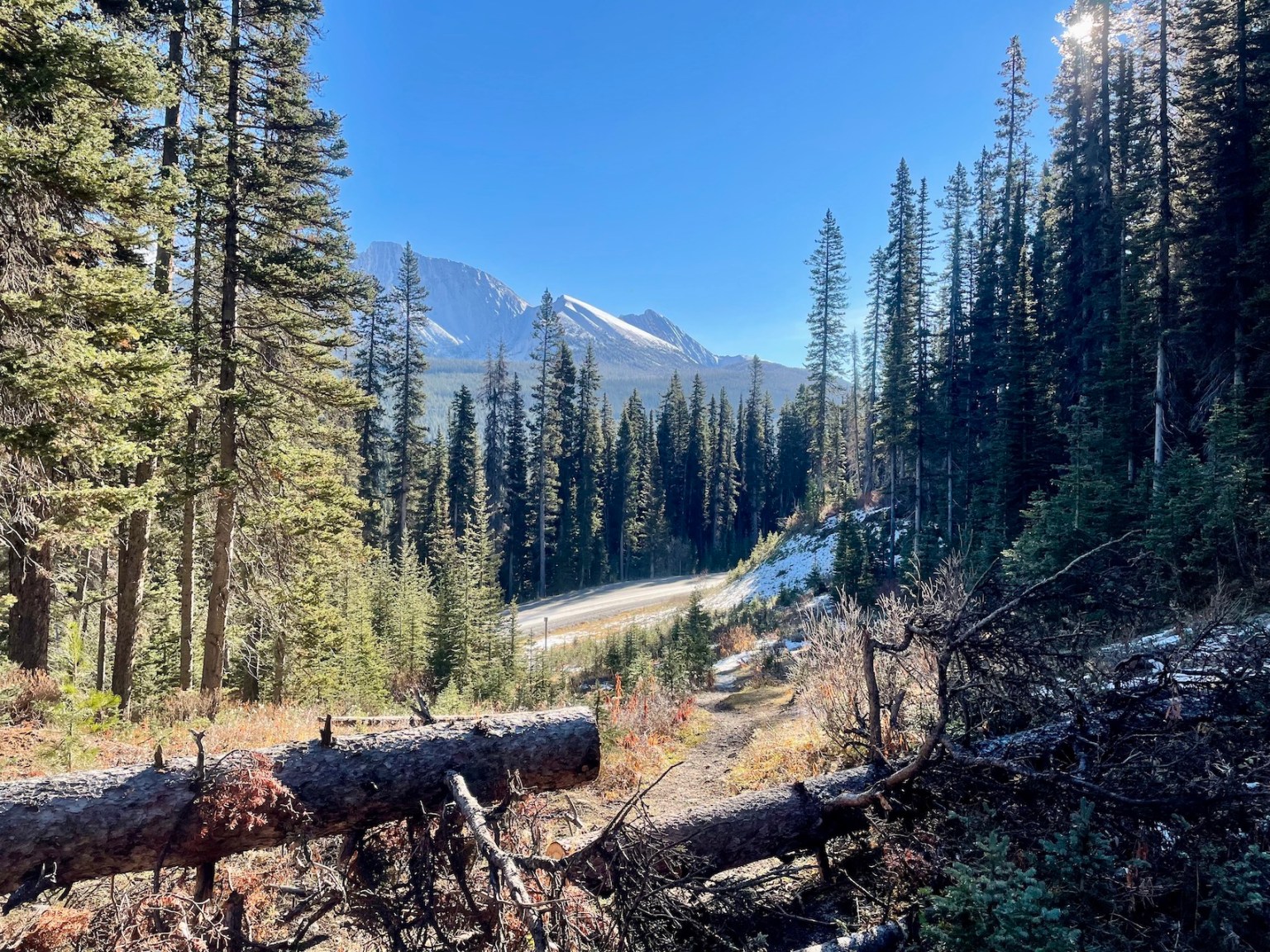 Tent Ridge Hike: One of the Best Hikes in Kananaskis - Out & Across