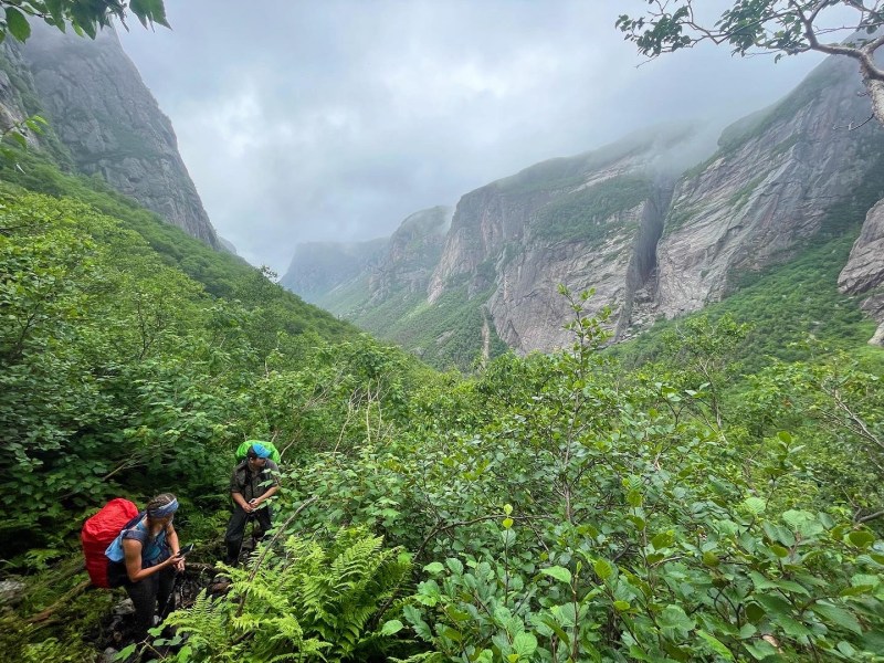 4-Day Long Range Traverse Hike in Gros Morne National Park - Out & Across