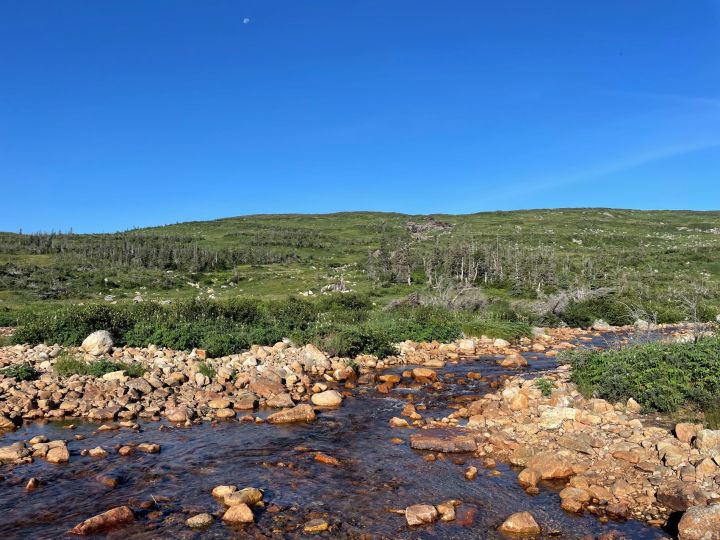 4-Day Long Range Traverse Hike in Gros Morne National Park - Out & Across