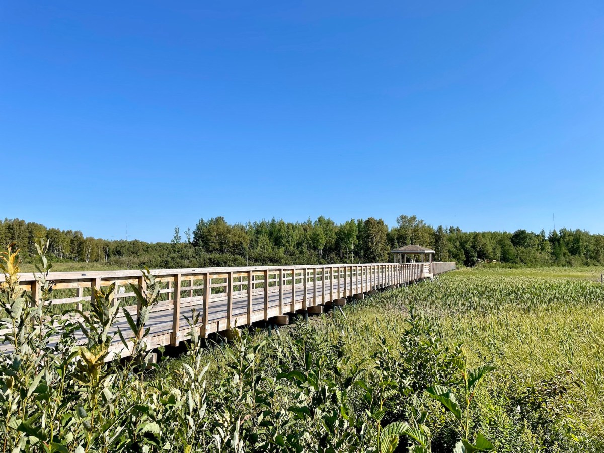 6 Best Things To Do in Grand Falls-Windsor, Newfoundland - Out & Across