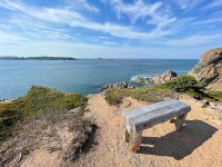 Rockcut Twillingate Trails: Coastal Hiking in Newfoundland - Out & Across