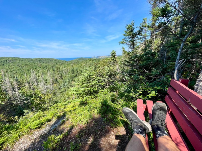 Top of Twillingate Trail: Easy Newfoundland Hike (With Views!) - Out ...