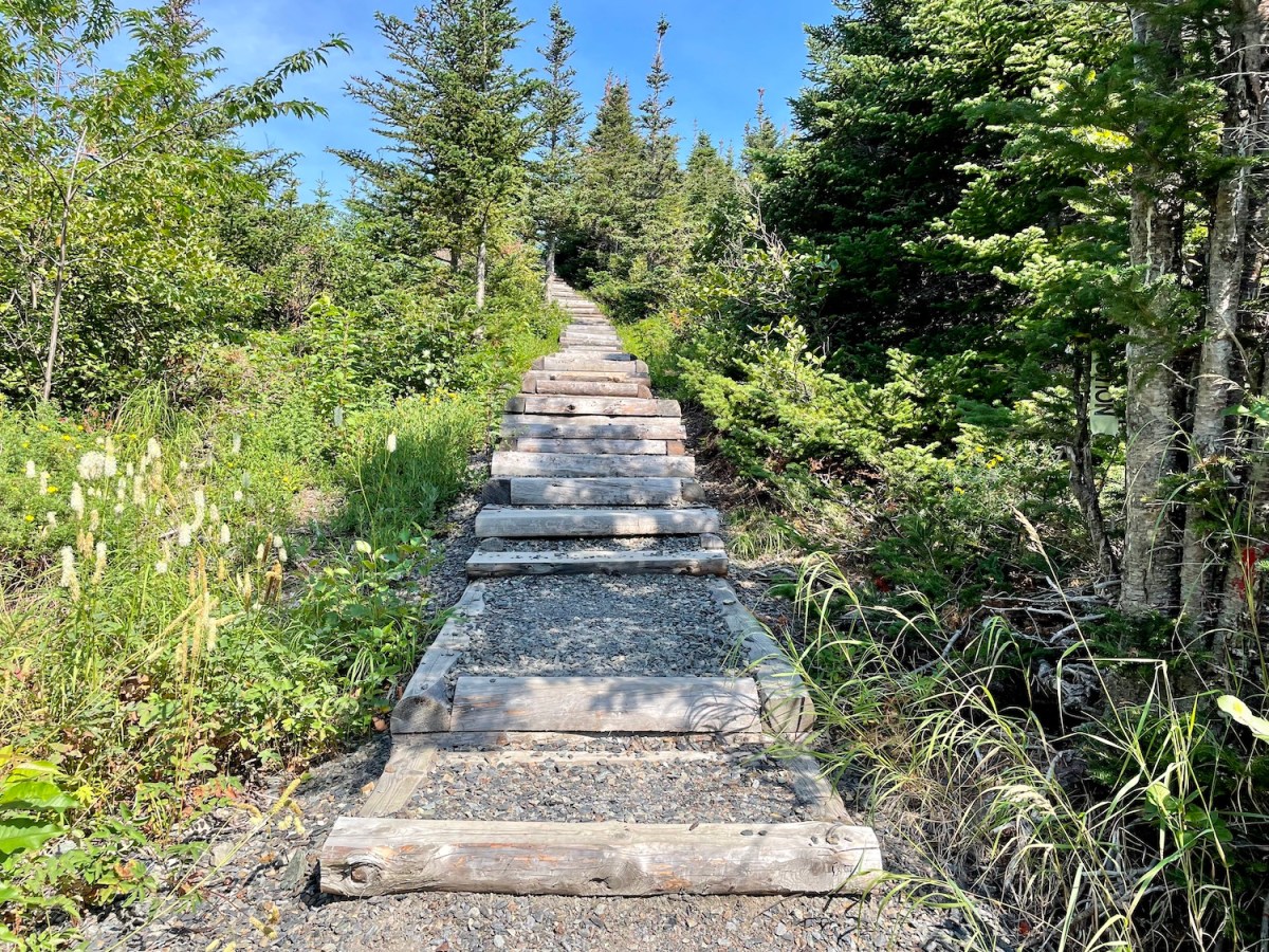 Top of Twillingate Trail: Easy Newfoundland Hike (With Views!) - Out ...