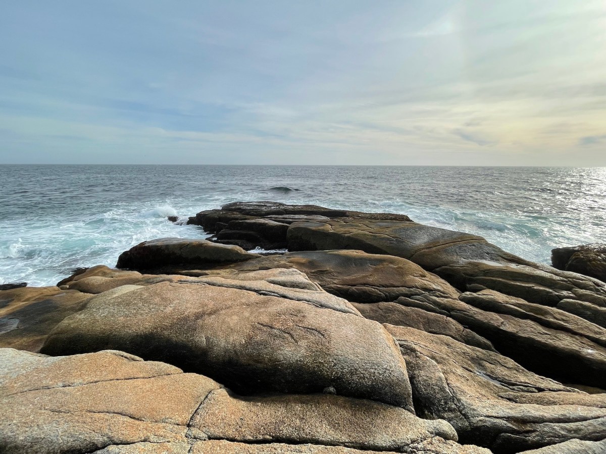 Pennant Point Trail: Best Hiking Near Halifax, NS - Out & Across