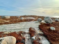 Pennant Point Trail: Best Hiking Near Halifax, NS - Out & Across