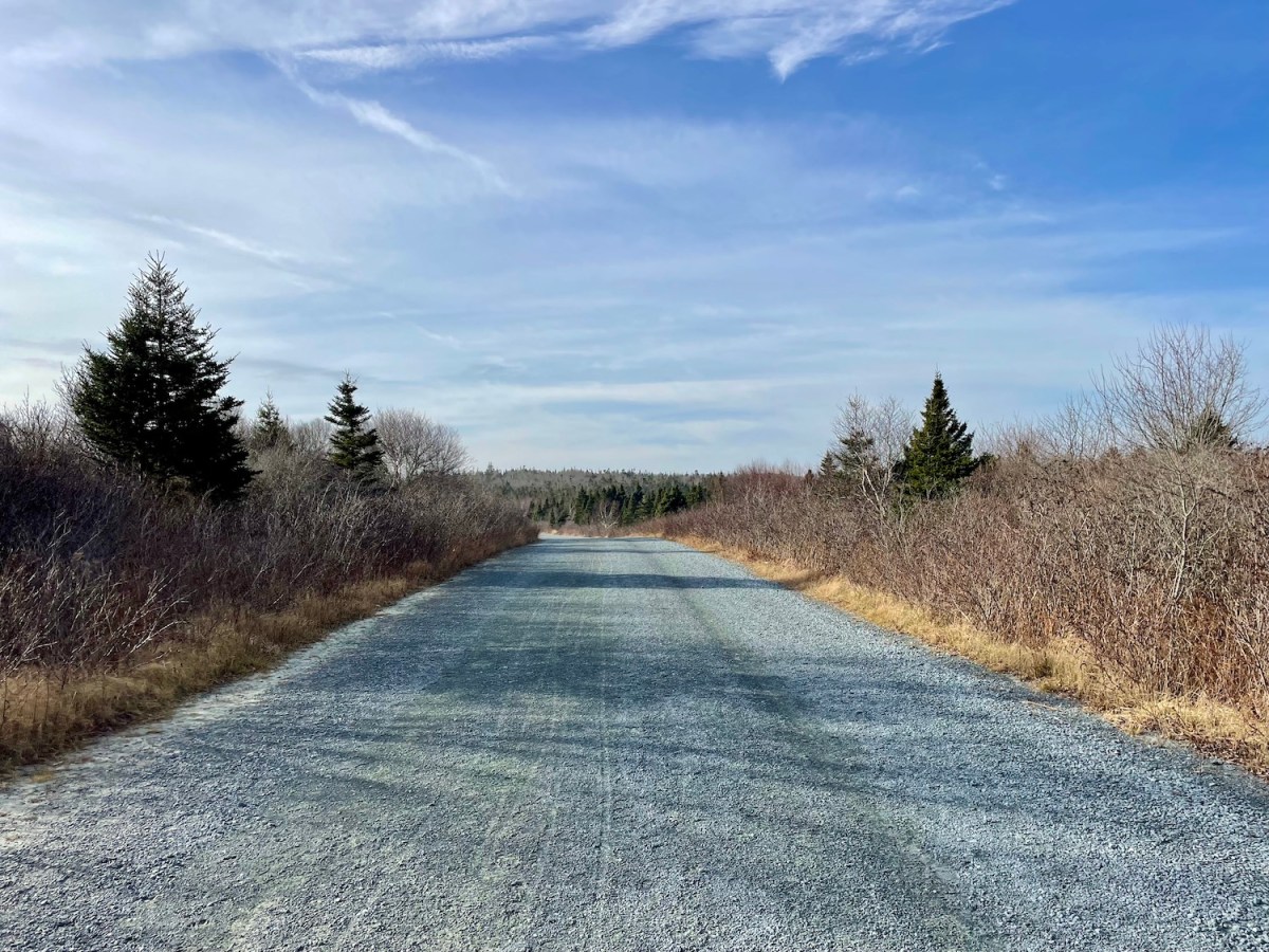 Pennant Point Trail: Best Hiking Near Halifax, NS - Out & Across