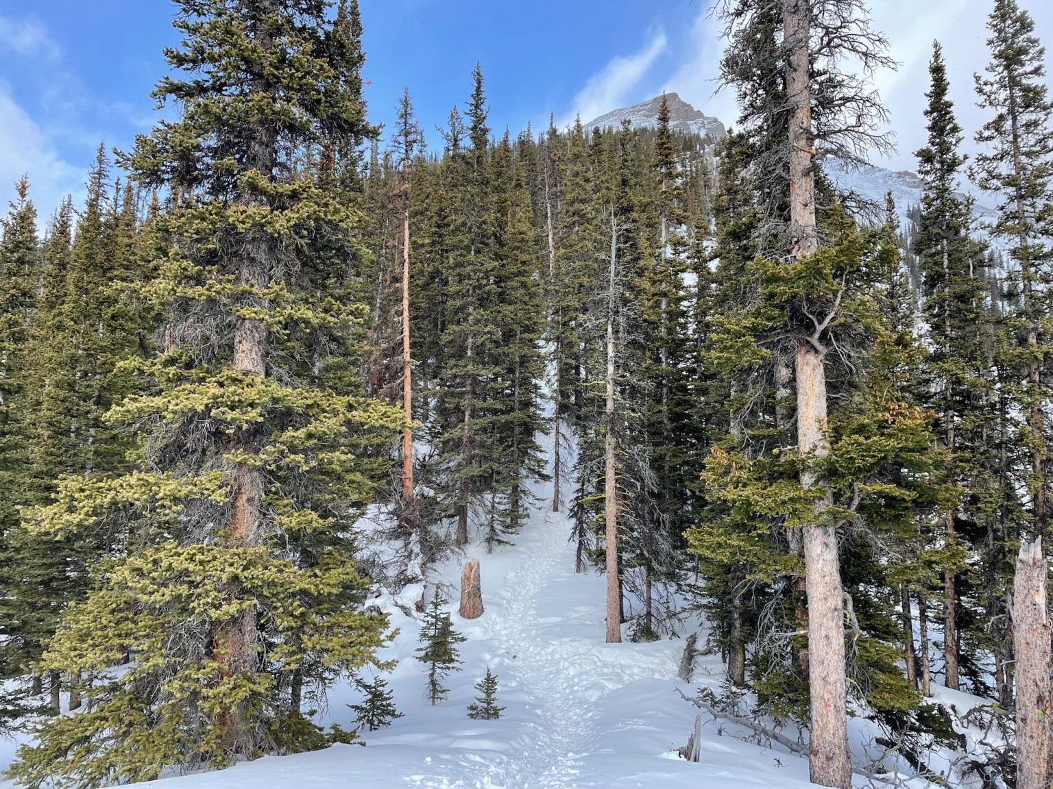 Little Lougheed Hike in Kananaskis Country - Out & Across