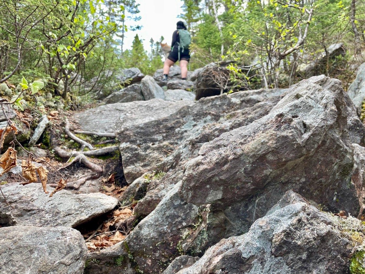 Mount Carleton Hike: Highest Peak in the Maritimes - Out & Across
