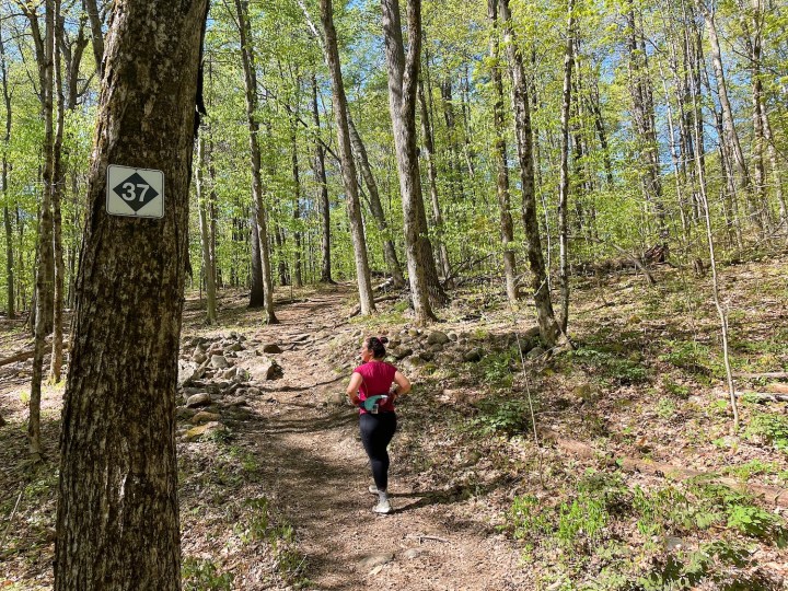 King Mountain Hike in Gatineau Park in Quebec - Out & Across