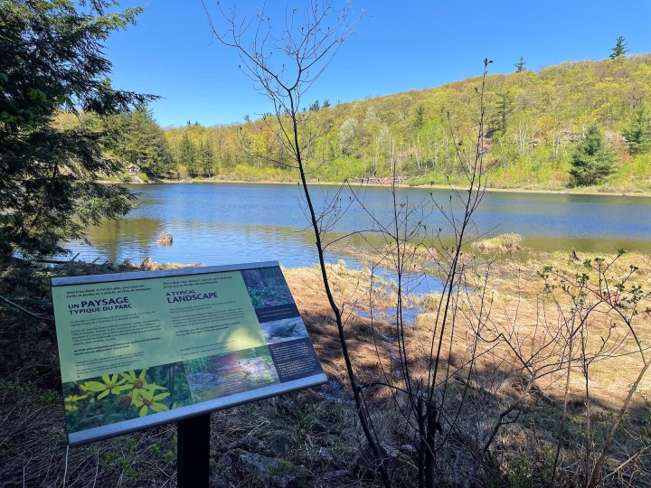King Mountain Hike in Gatineau Park in Quebec - Out & Across