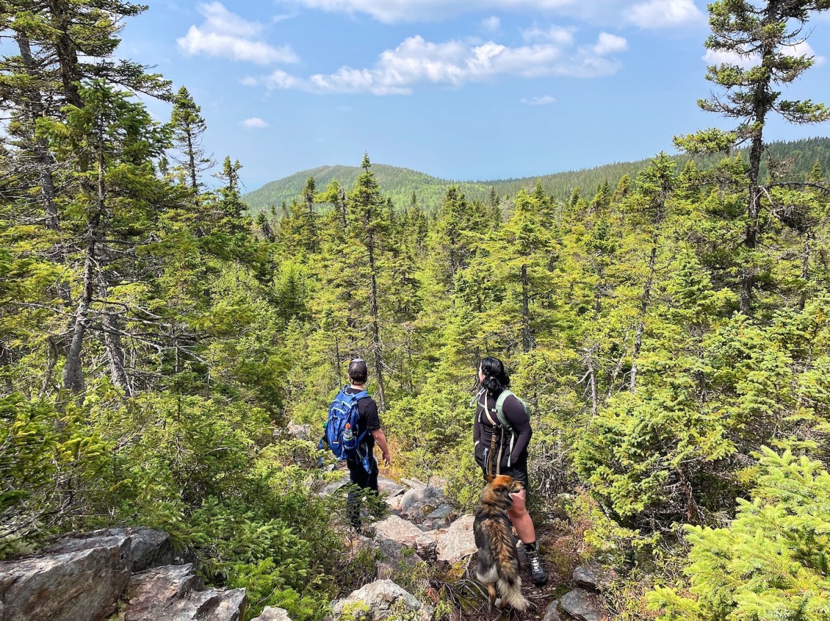 Mount Carleton Hike: Highest Peak in the Maritimes - Out & Across