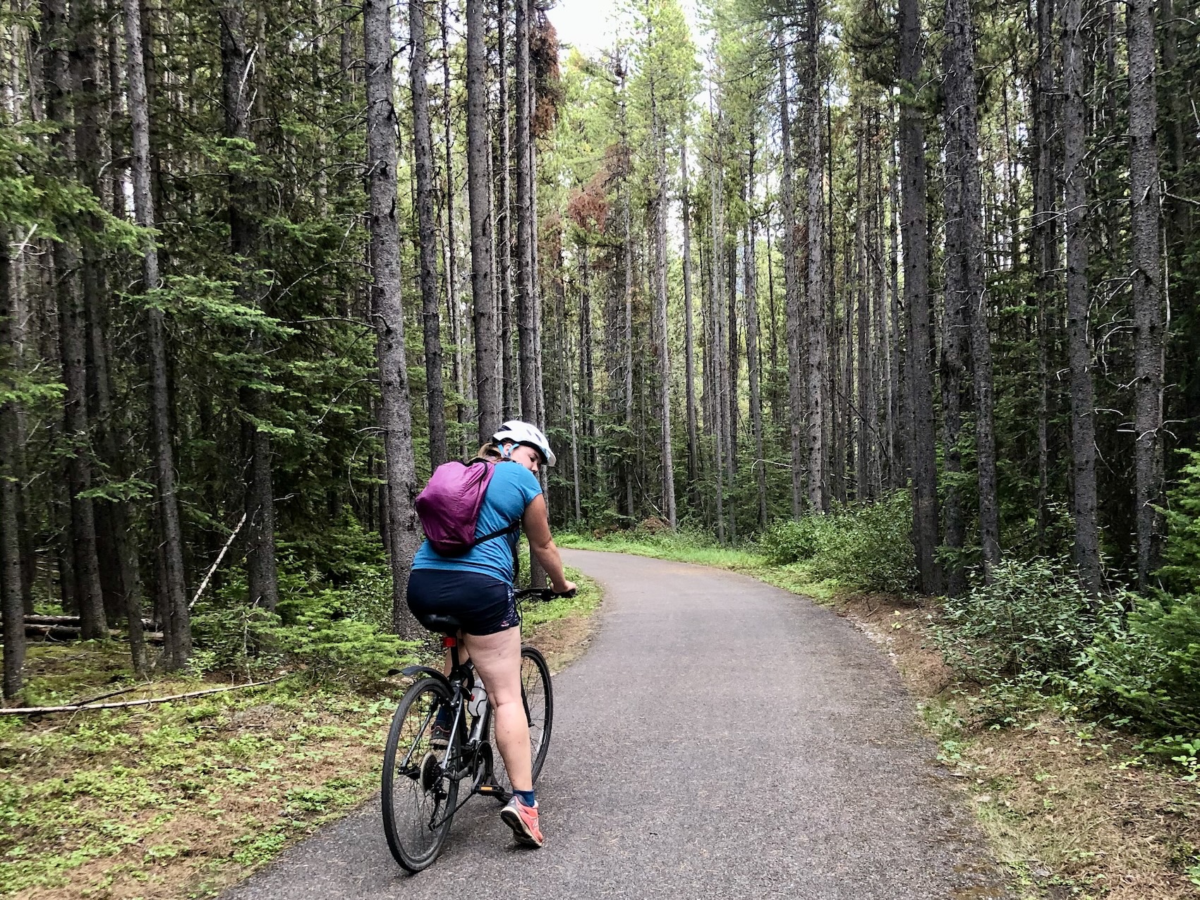 Boulton Creek Campground: Car Camping in Kananaskis Country - Out & Across