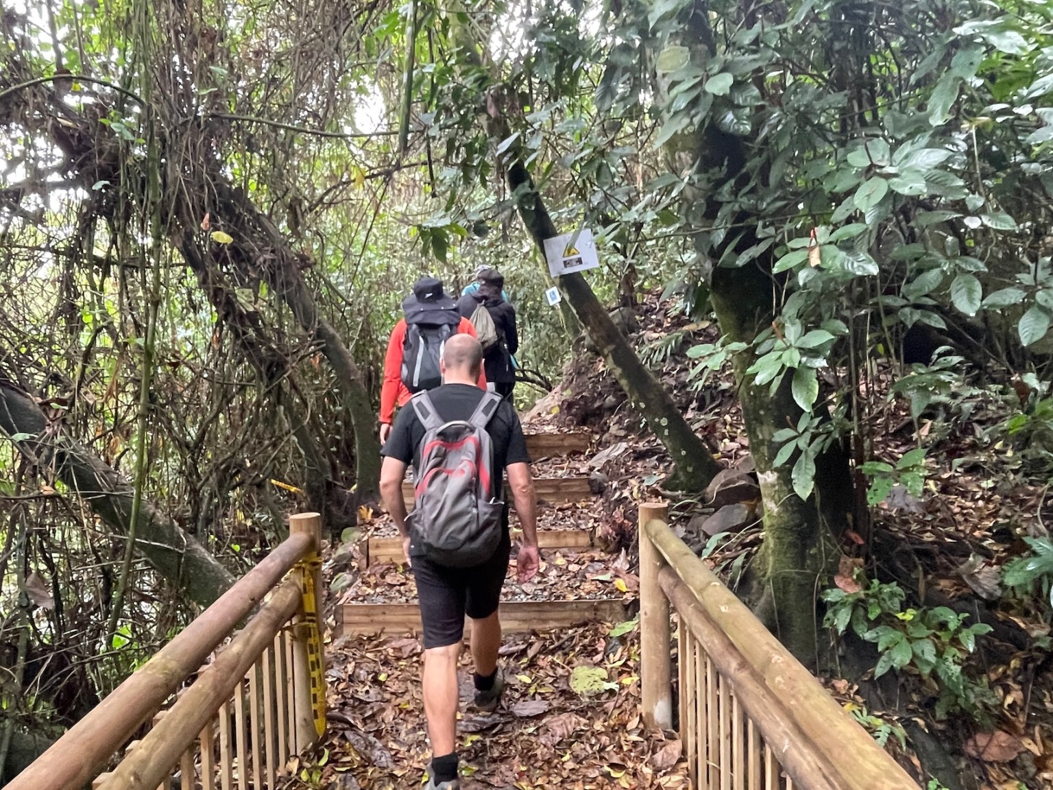 Cerro Tusa Hike in Colombia: World's Largest Natural Pyramid - Out & Across