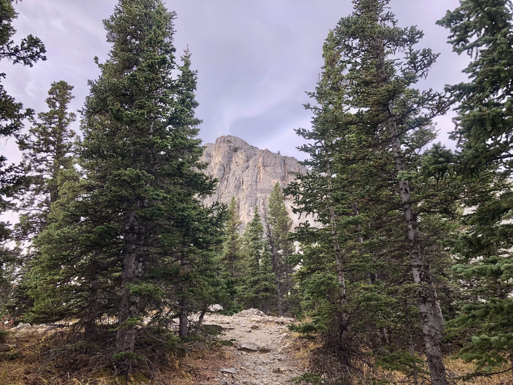 Mount Yamnuska Hike Near Canmore, Alberta - Out & Across