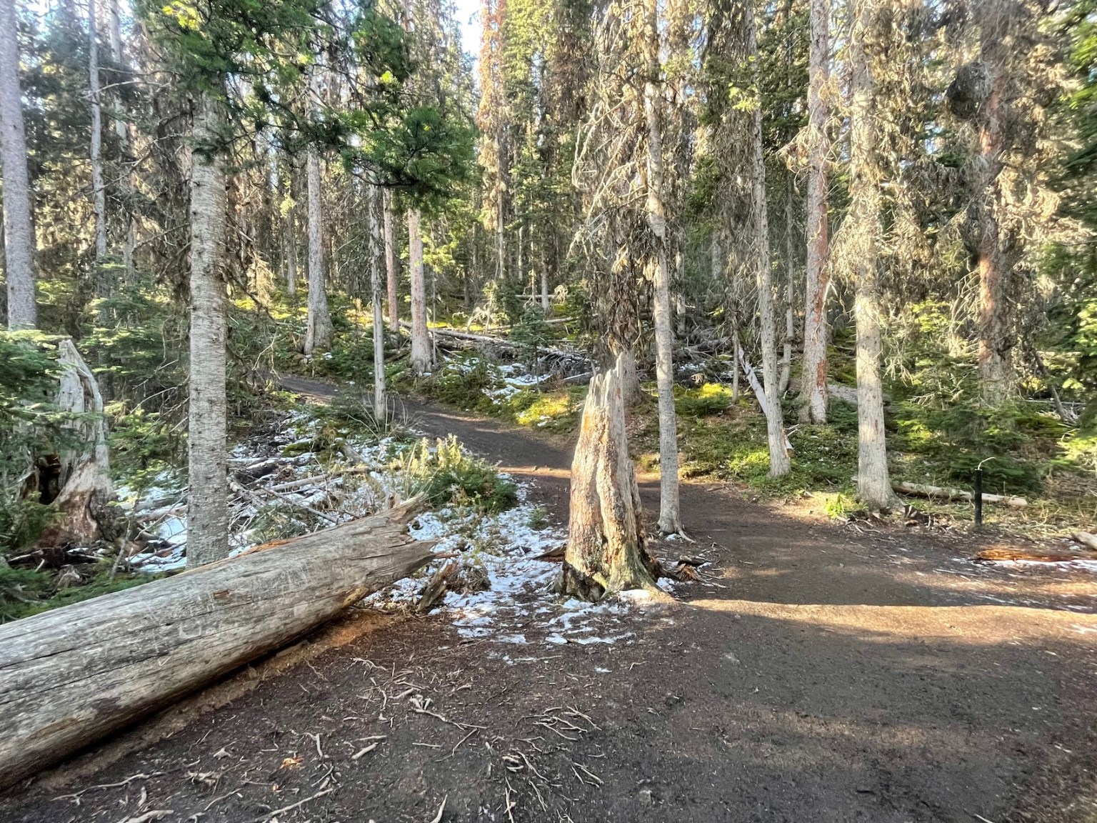 Sarrail Ridge Hike in Kananaskis Country - Out & Across