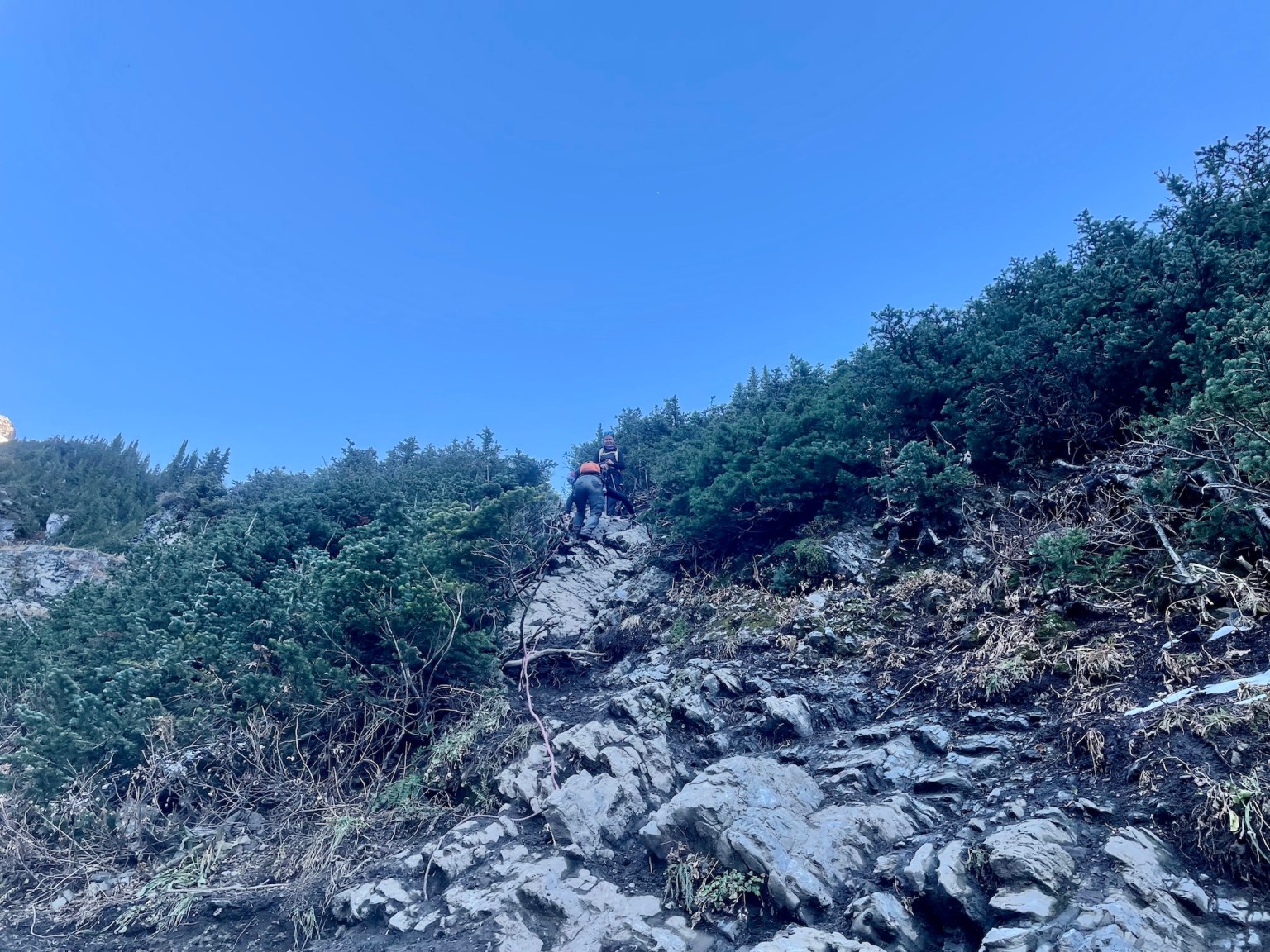Sarrail Ridge Hike in Kananaskis Country - Out & Across