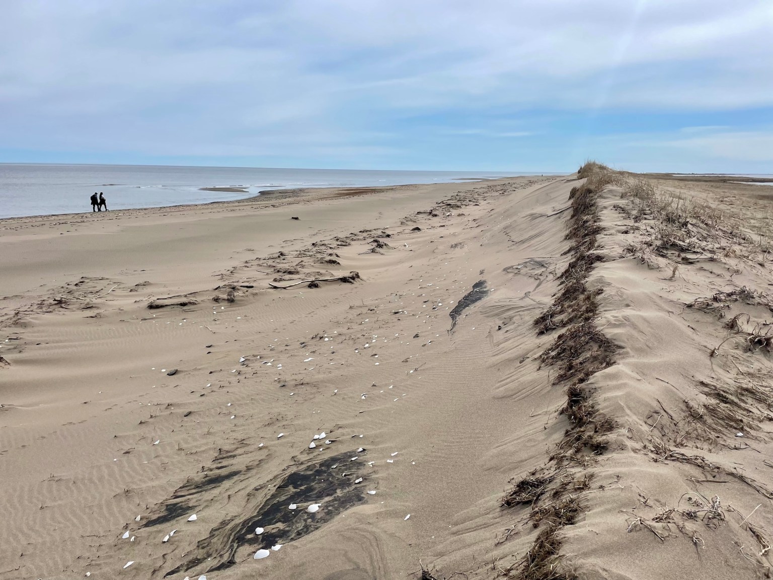 Bouctouche Dunes: Family-Friendly New Brunswick Hike - Out & Across