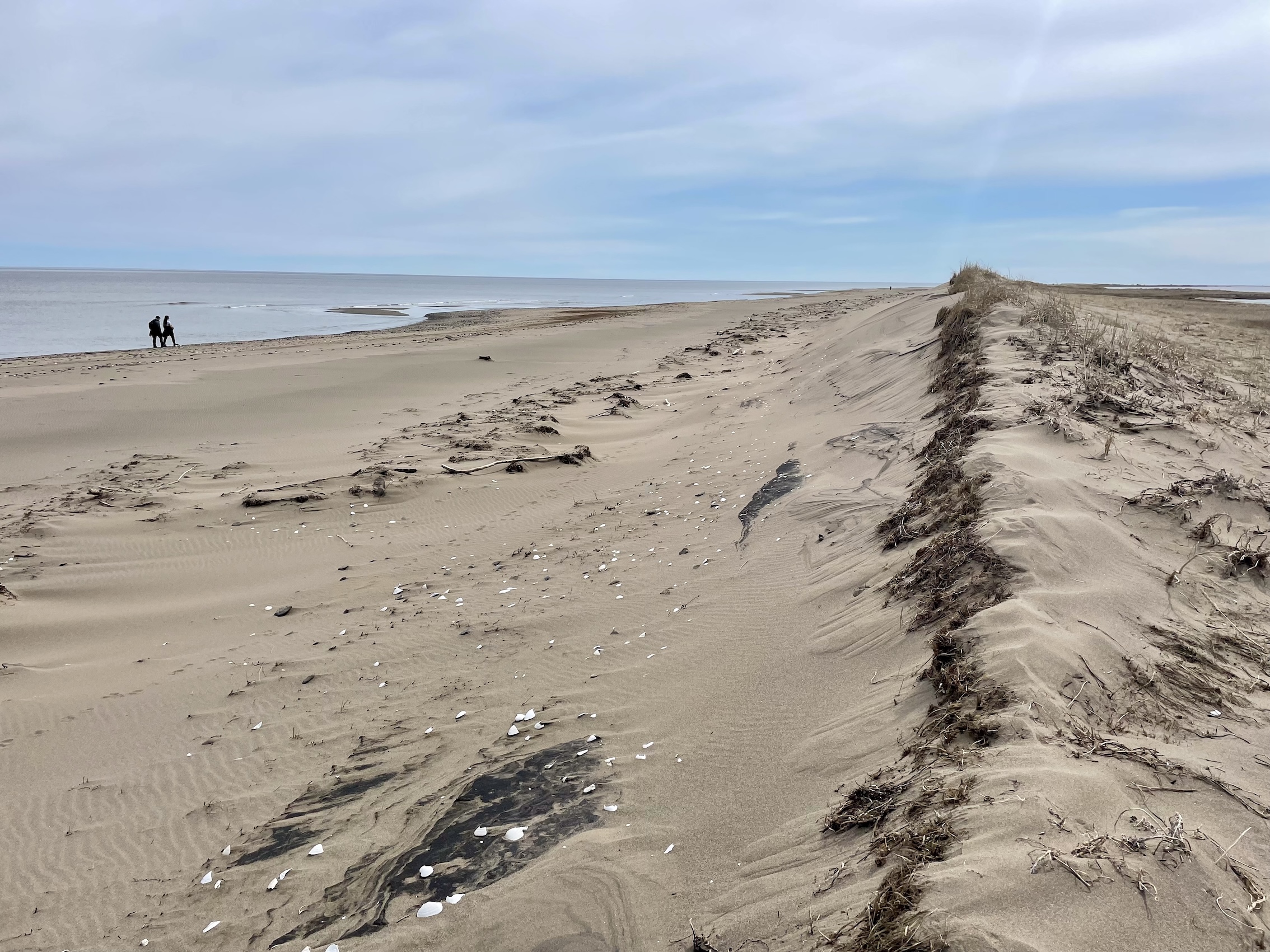 Bouctouche Dunes: Family-Friendly New Brunswick Hike - Out & Across