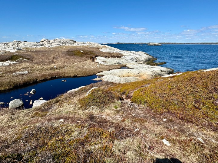 High Head Trail: Coastal Hiking Near Halifax, Nova Scotia - Out & Across