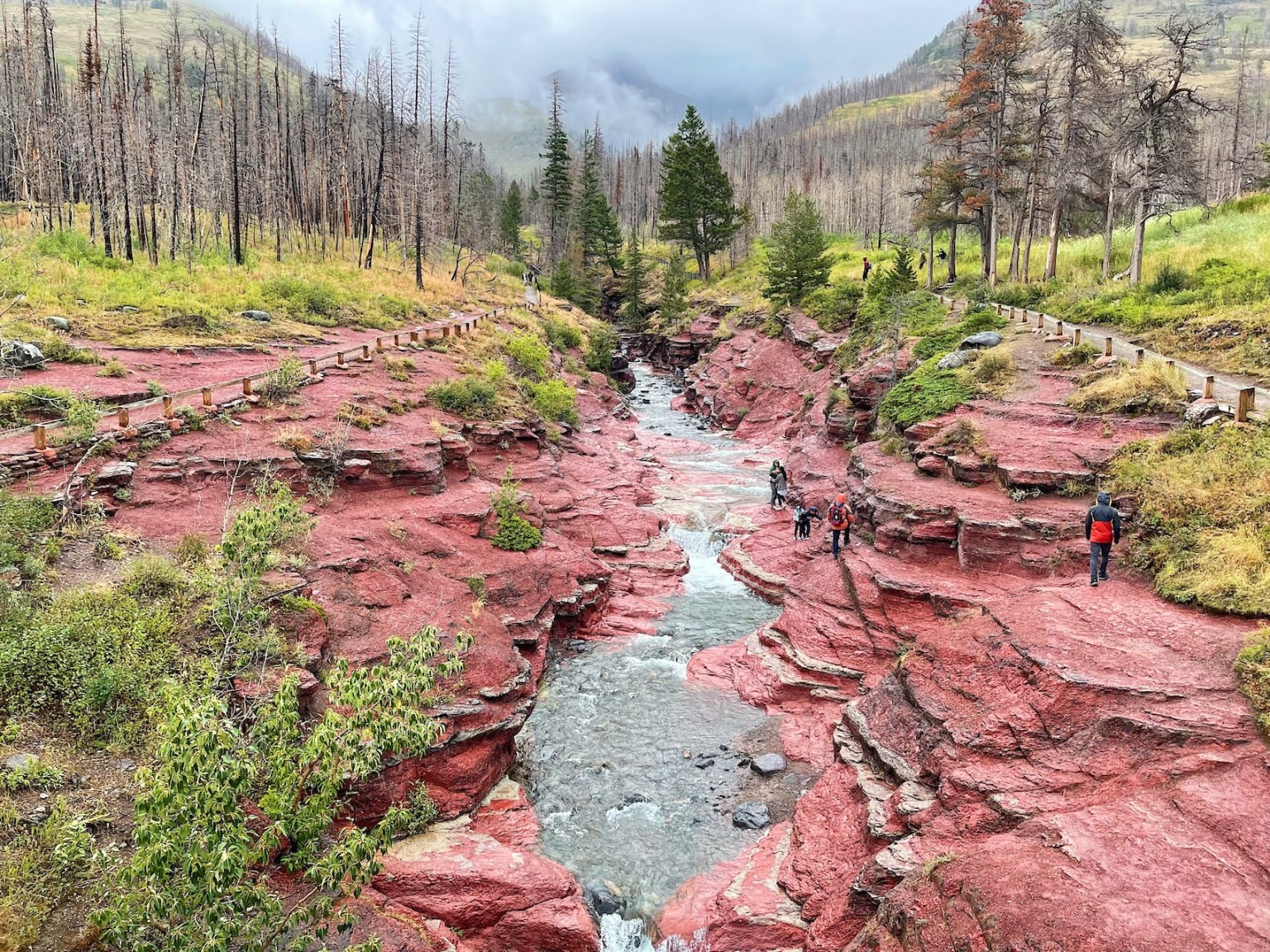 Red Rock Canyon in Waterton Lakes National Park - Out & Across