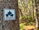 Your Complete Guide to the Fundy Footpath in New Brunswick - Out & Across