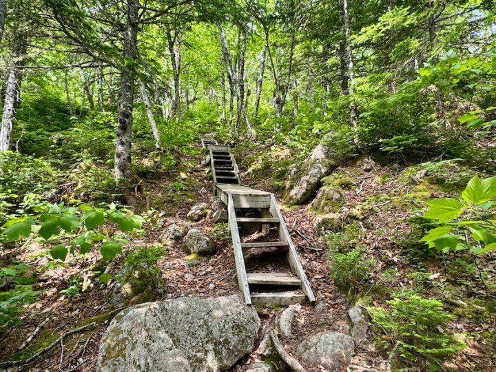 Franey Trail Hike in Cape Breton Highlands National Park - Out & Across