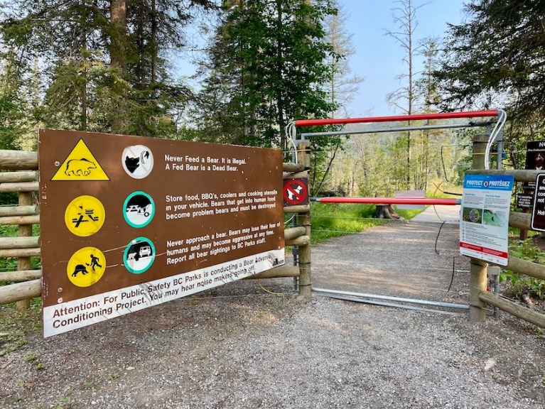 Liard River Hot Springs: Northern BC’s Must-Visit Campground - Out & Across