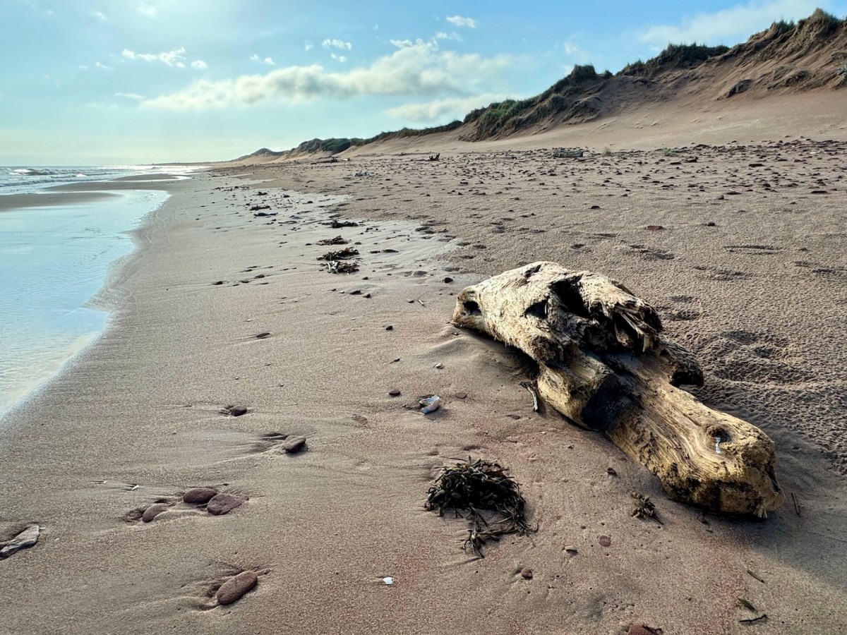 11 Best PEI Beaches For Your Next Trip - Out & Across