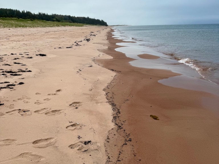 11 Best PEI Beaches For Your Next Trip - Out & Across