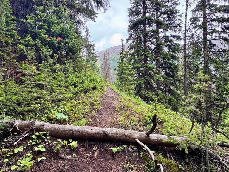 Kent Ridge Hike in Kananaskis Country - Out & Across