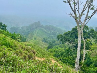 Your Complete Guide to the Lost City Trek in Colombia - Out & Across