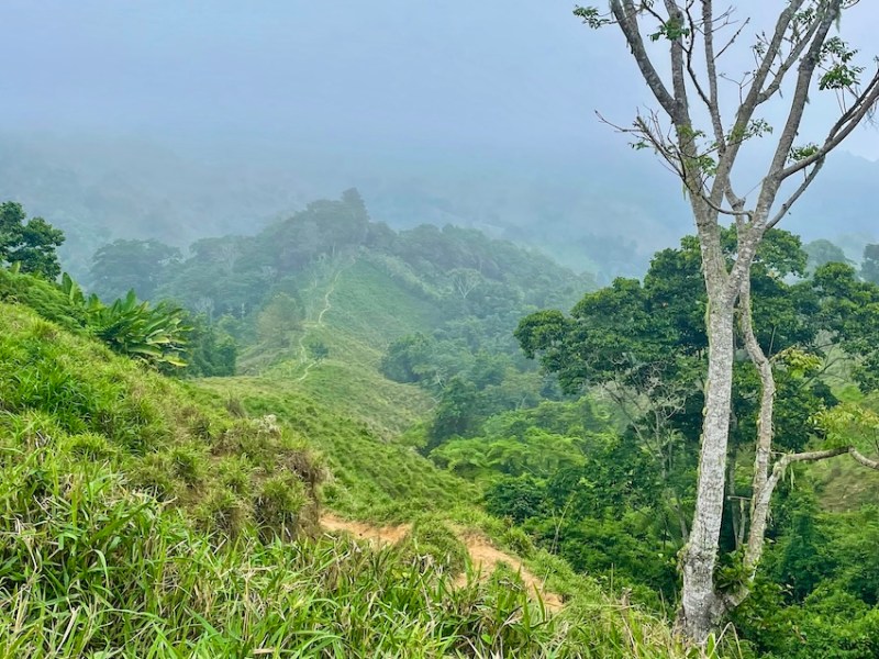 Your Complete Guide to the Lost City Trek in Colombia - Out & Across